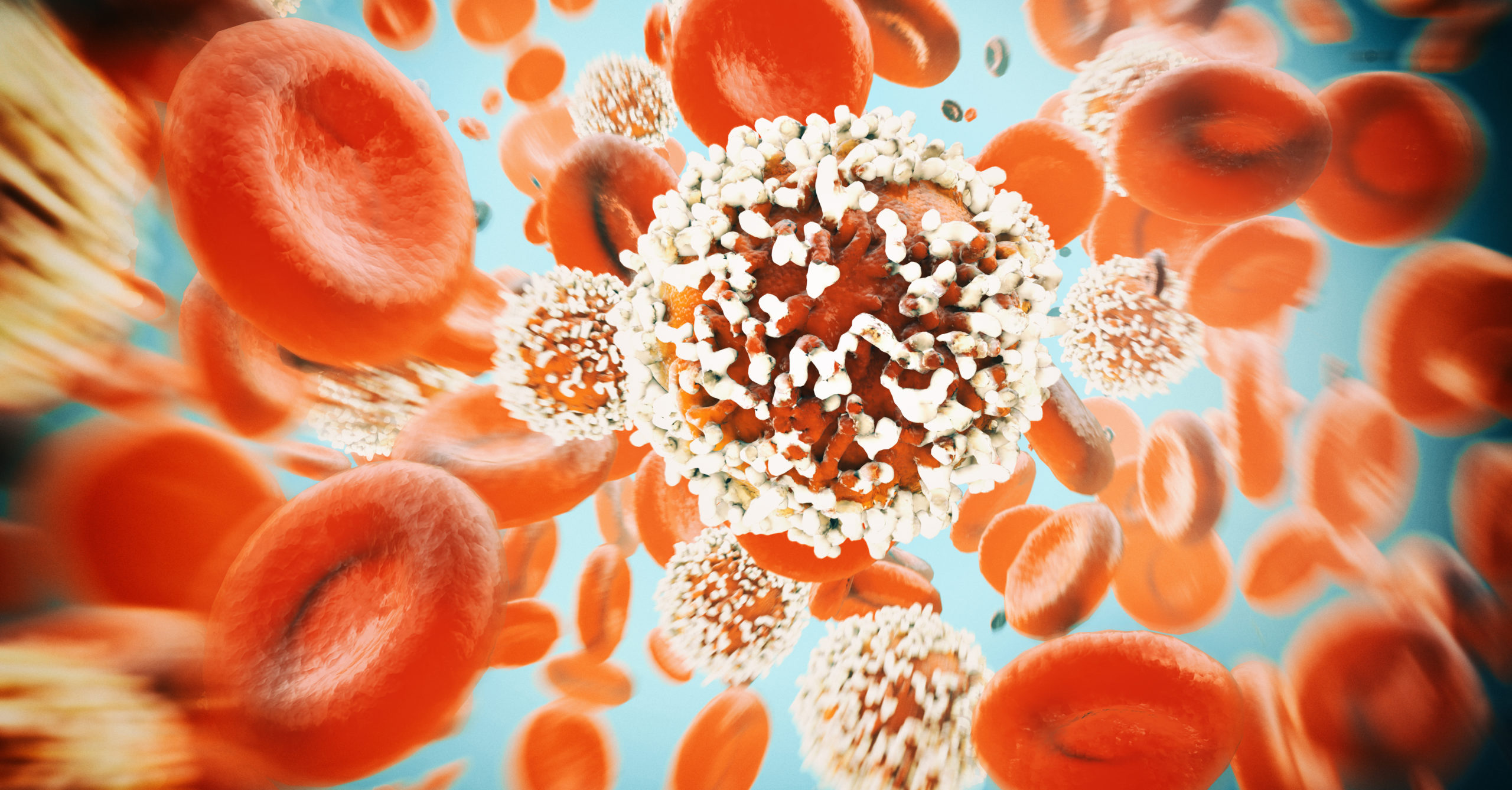 How Cancer Spreads (Metastasis) – Asian Fund for Cancer Research