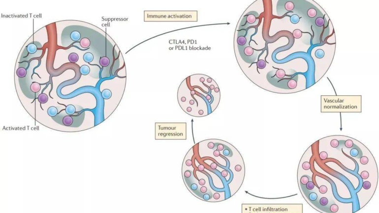 癌症國家 | 全球癌症國家排名 | 癌症數據 | 癌症趨勢 – Asian Fund for Cancer Research