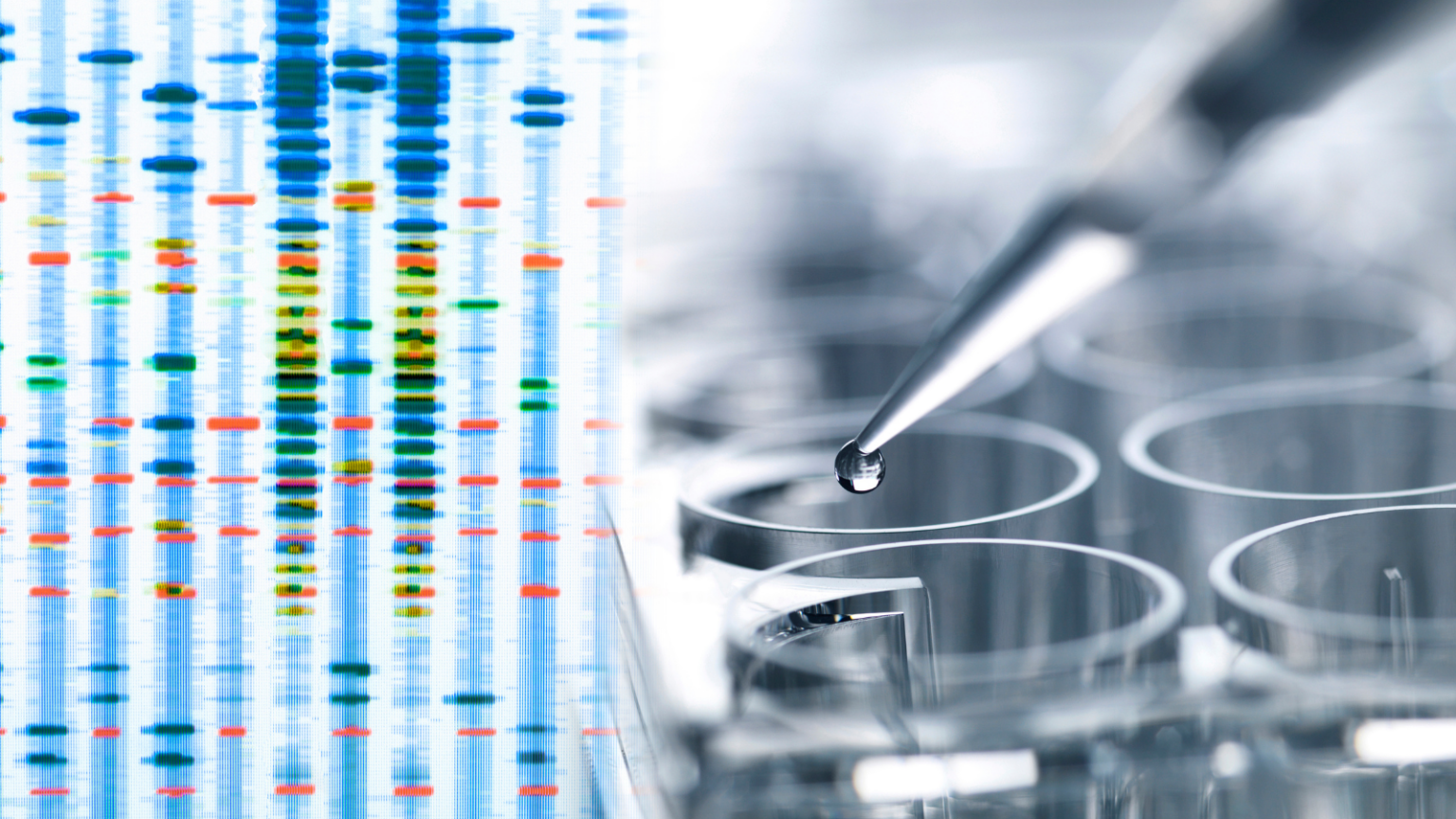 Targeted Protein Degradation for Cancer Therapy – Asian Fund for Cancer ...